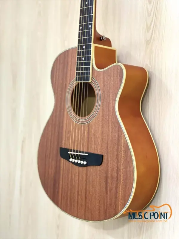 Deviser Guitar | Harmonize Your Artistry