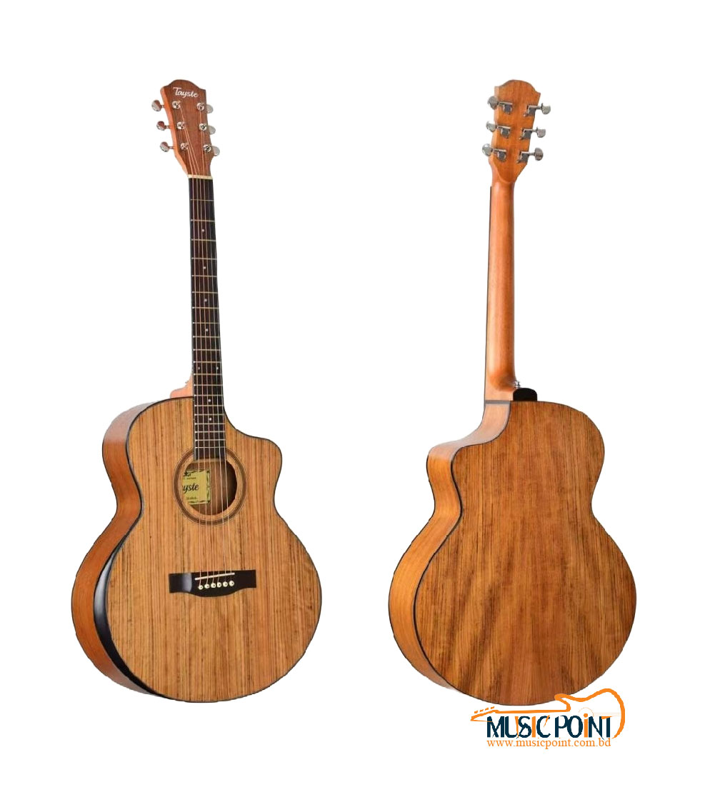Tayste Guitar Price in BD | Affordable and Quality Instruments